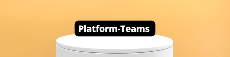 How a Platform Team Helps Your Developers - Earthly Blog